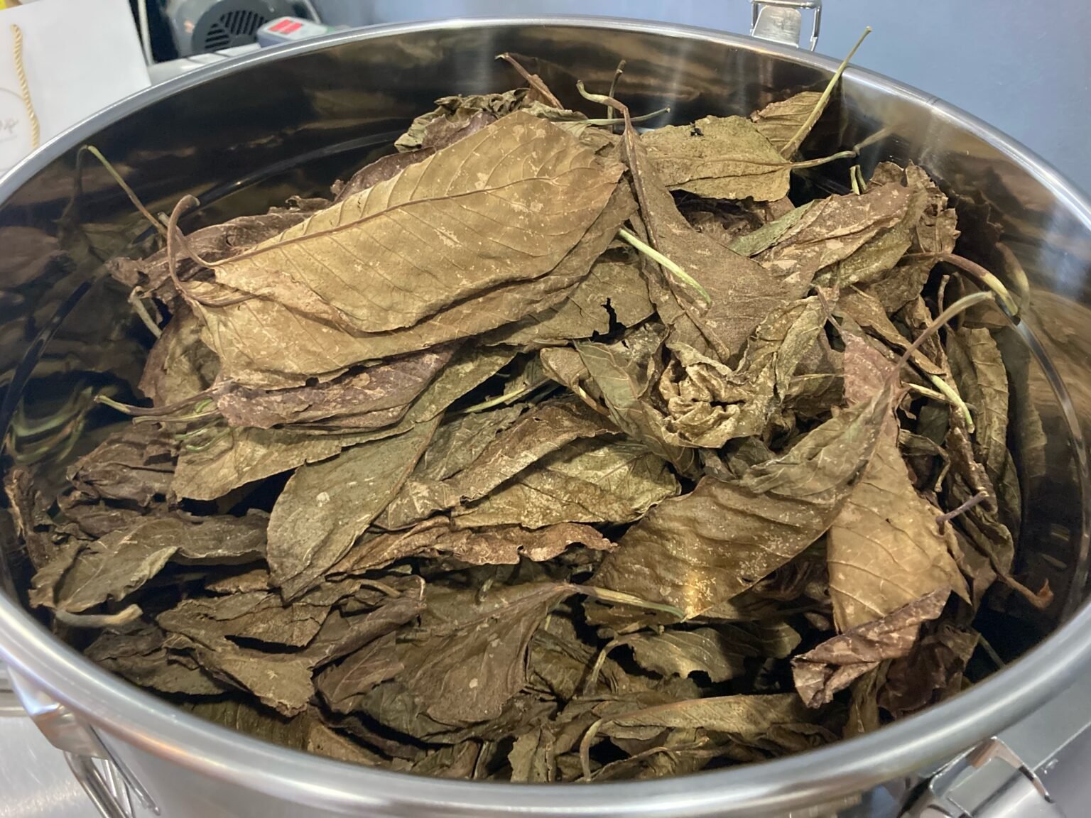 GABA Kratom (12 leaves)